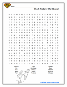 Sharks Word Search Puzzles | Free Printable PDF Collection