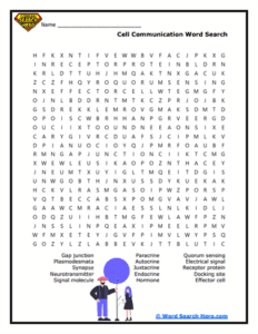 Cell Biology Word Searches