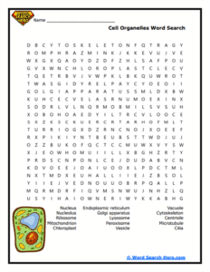 Cell Biology Word Search Printables | PDF Collection | Word Search Hero