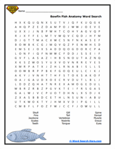 Fish Word Search Puzzles | Free Printable PDF Collection