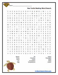 Sea Turtle Word Search Puzzles | Free Printable PDF