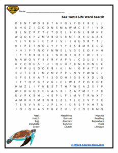 Sea Turtle Word Search Puzzles | Free Printable PDF