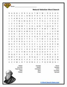 Evolution Word Search Printables | PDF Puzzle Set | Word Search Hero