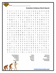 Evolution Word Search Printables | PDF Puzzle Set | Word Search Hero