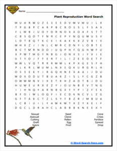 Plants Word Search Printables | Botany PDF Collection | Word Search Hero