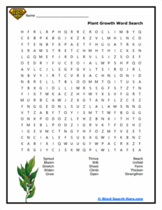 Plants Word Search Printables | Botany PDF Collection | Word Search Hero
