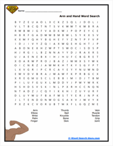 Body Parts Word Searches - Word Search Hero.com