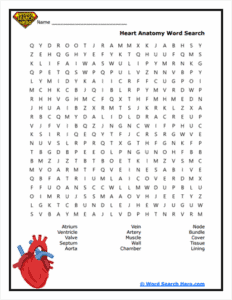 Circulatory System Word Search Printables | PDF Puzzles | Word Search Hero