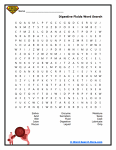 Digestive System Word Searches - Word Search Hero.com