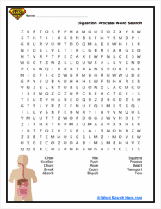 Digestive System Word Searches - Word Search Hero.com
