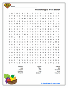 Digestive System Word Searches - Word Search Hero.com