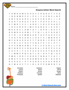 Digestive System Word Searches - Word Search Hero.com