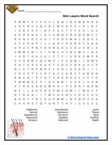 Integumentary System Word Search Printables | PDF Puzzles | Word Search ...