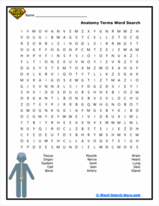 Medical Terminology Word Search Printables | PDF Puzzles | Word Search Hero