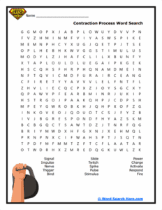 Muscular System Word Search Printables | Muscle Anatomy PDFs | Word ...
