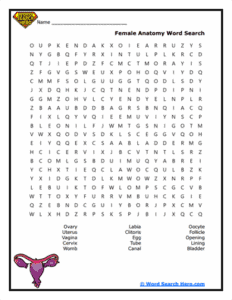 Reproductive System Word Search Printables | PDF Puzzles | Word Search Hero