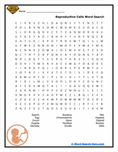 Reproductive System Word Search Printables | PDF Puzzles | Word Search Hero