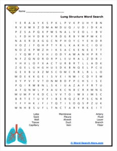 Respiratory System Word Search Printables | PDF Sheets | Word Search Hero
